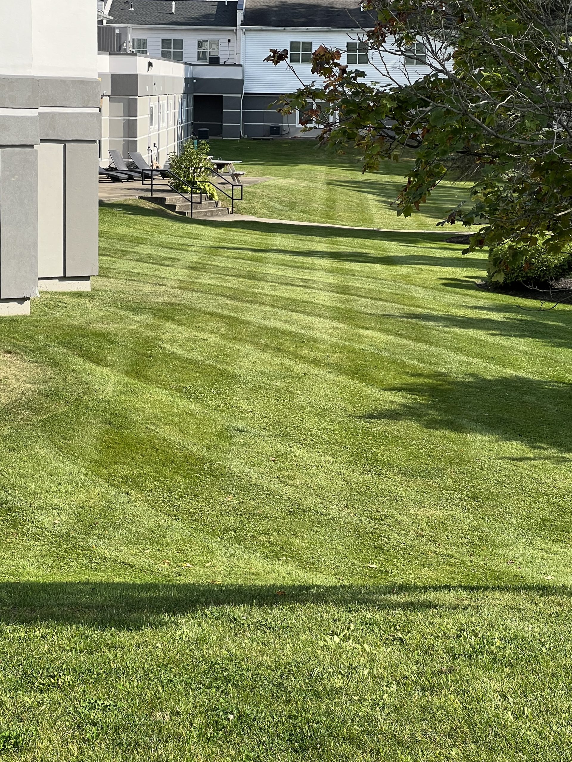 Jonny On The Spot – Mowing/snow/landscaping